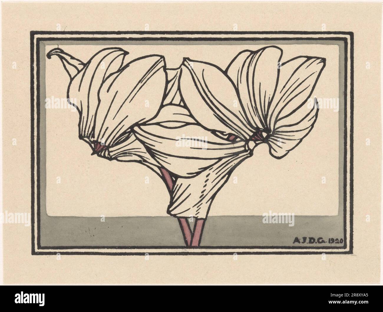 Cyclamen drawing hi-res stock photography and images - Alamy