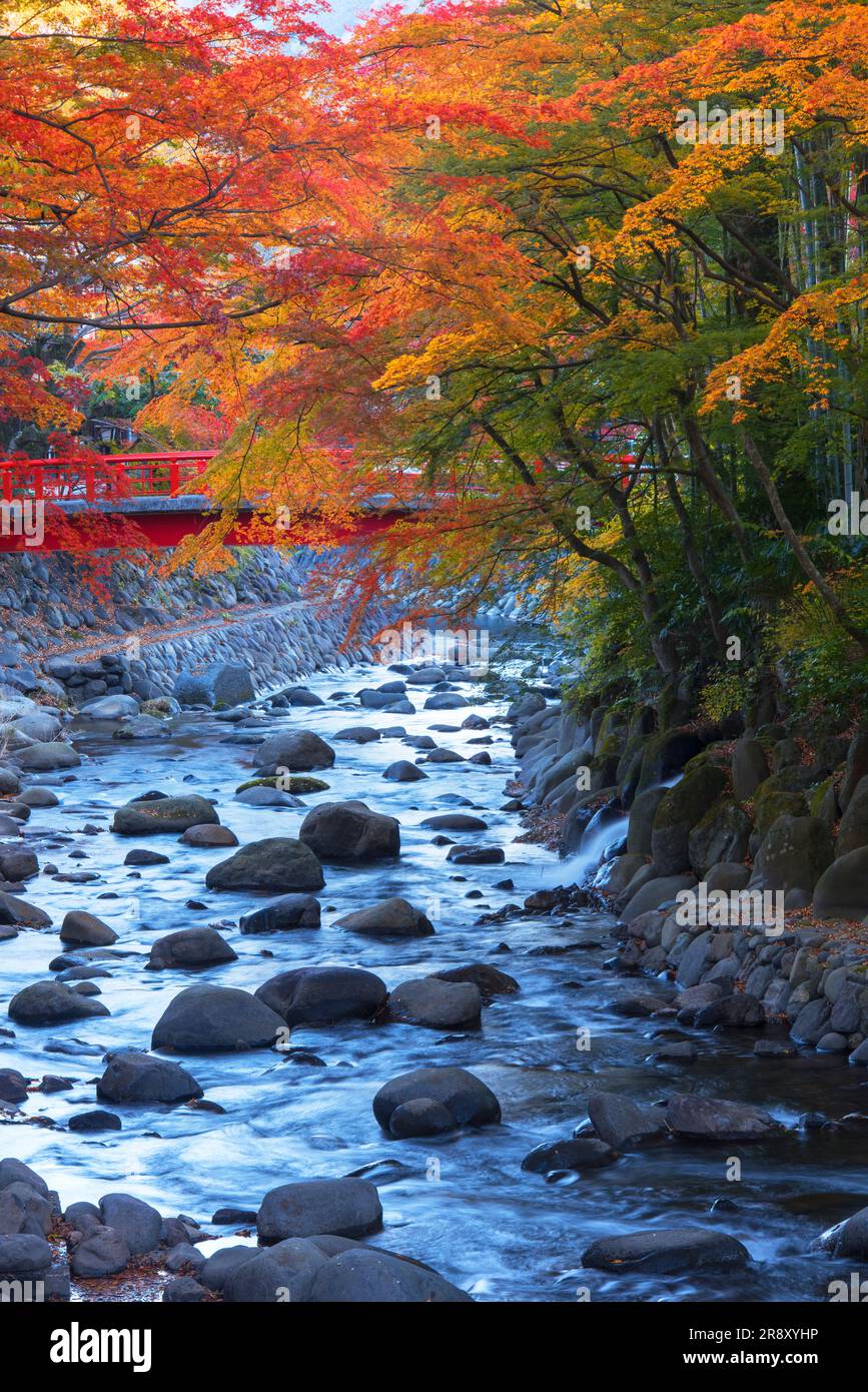 Shuzenji Onsen in Autumn Leaves Stock Photo - Alamy
