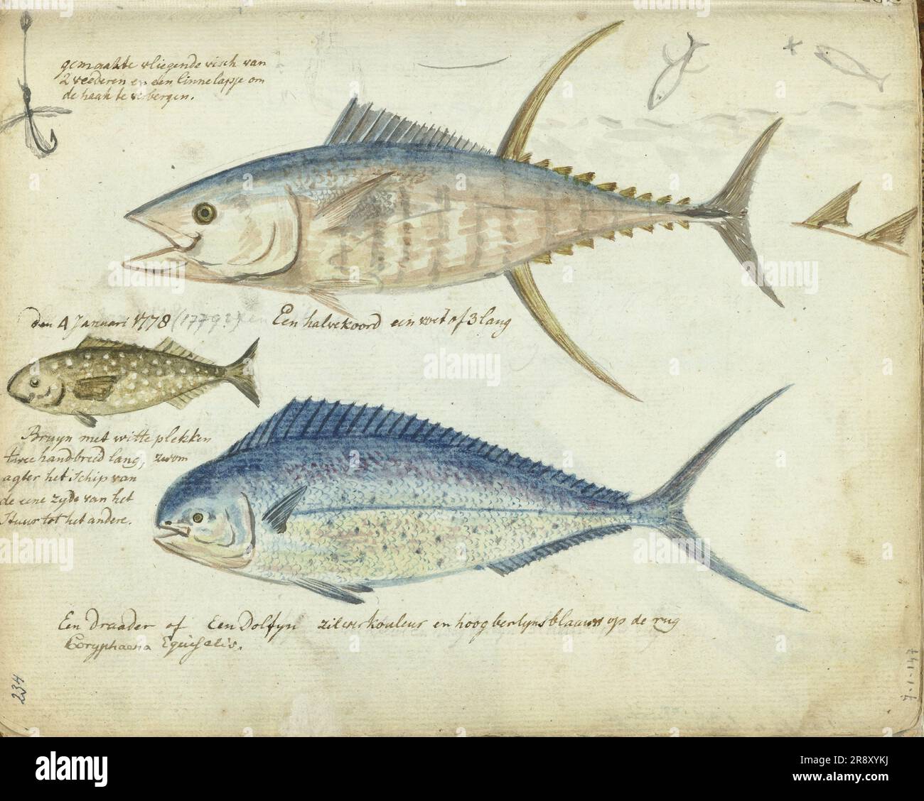 Pencil fish fishing hi-res stock photography and images - Alamy