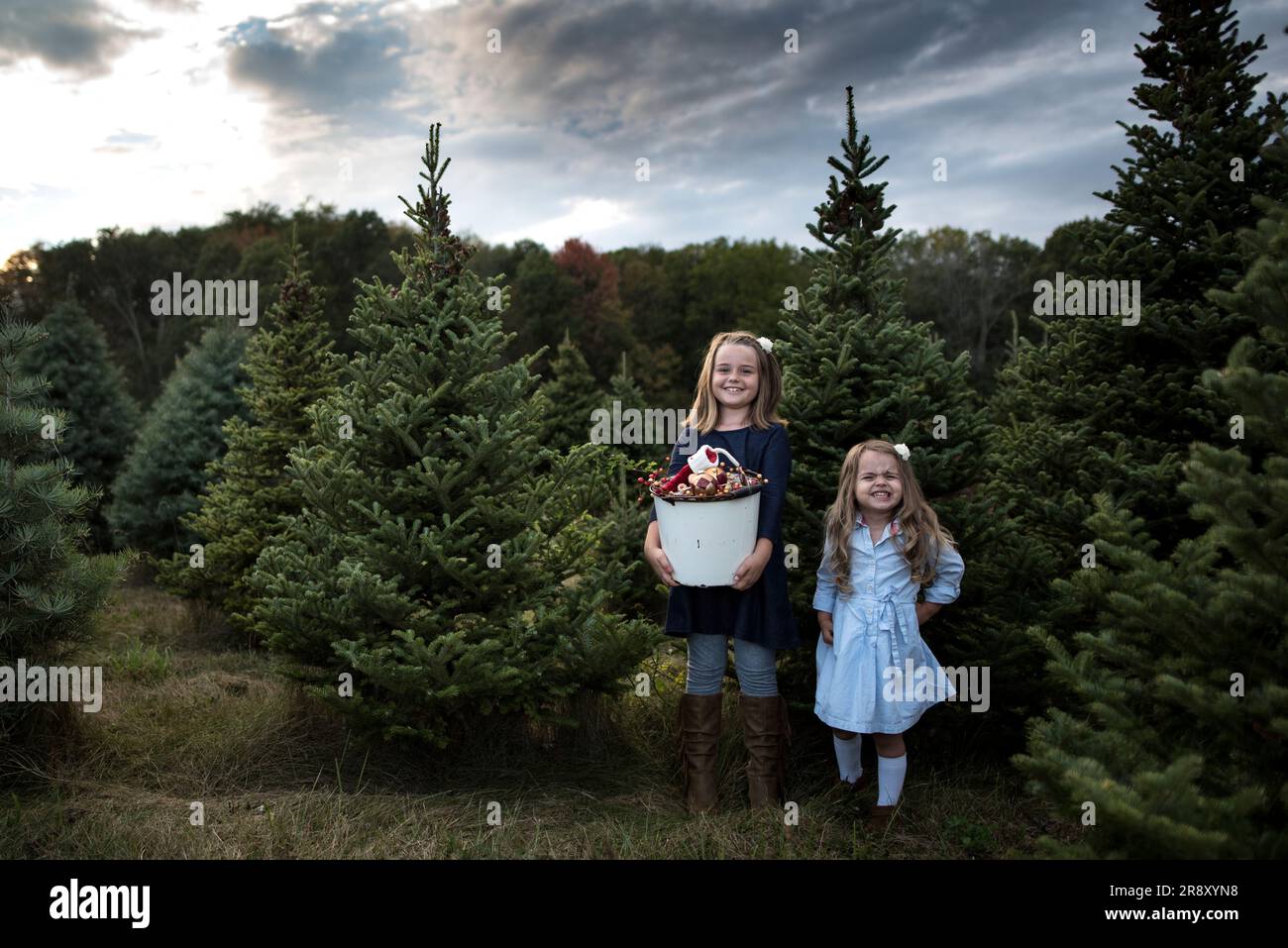 Sisters smiling at christmas tree farm with ornaments Stock Photo - Alamy
