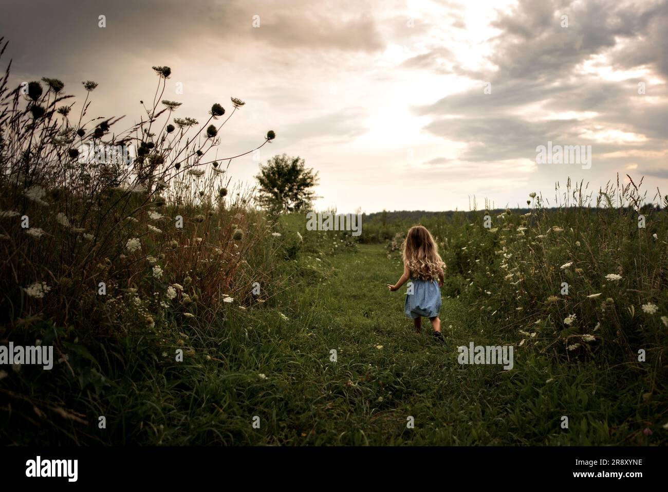 Little girl running through flowers in a field at sunset Stock Photo ...