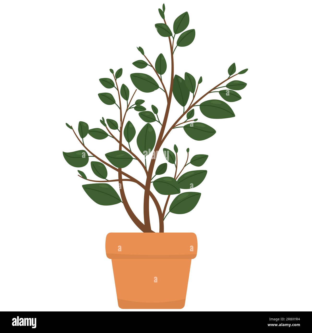 Cute cartoon home plant in clay pot. Vector illustration ficus Stock ...