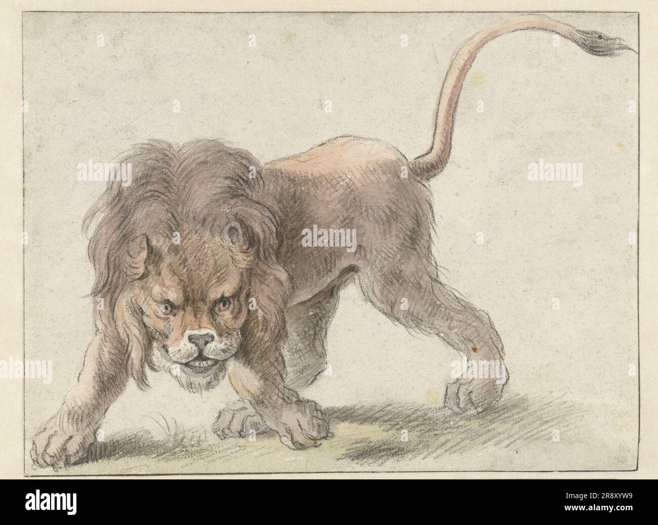 Chalk lion hi-res stock photography and images - Alamy