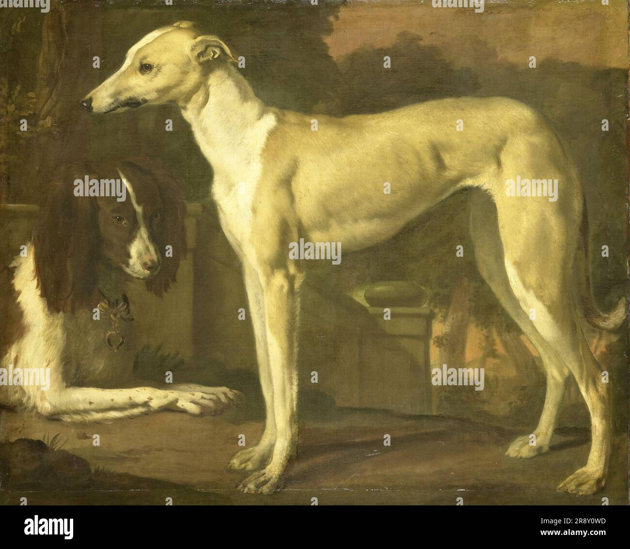 Dutch spaniel hi-res stock photography and images - Alamy