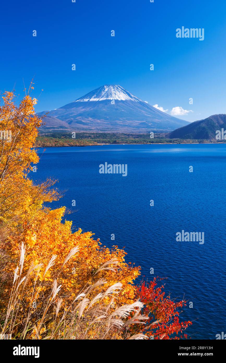 Lake Motosuko in Autumn Stock Photo - Alamy