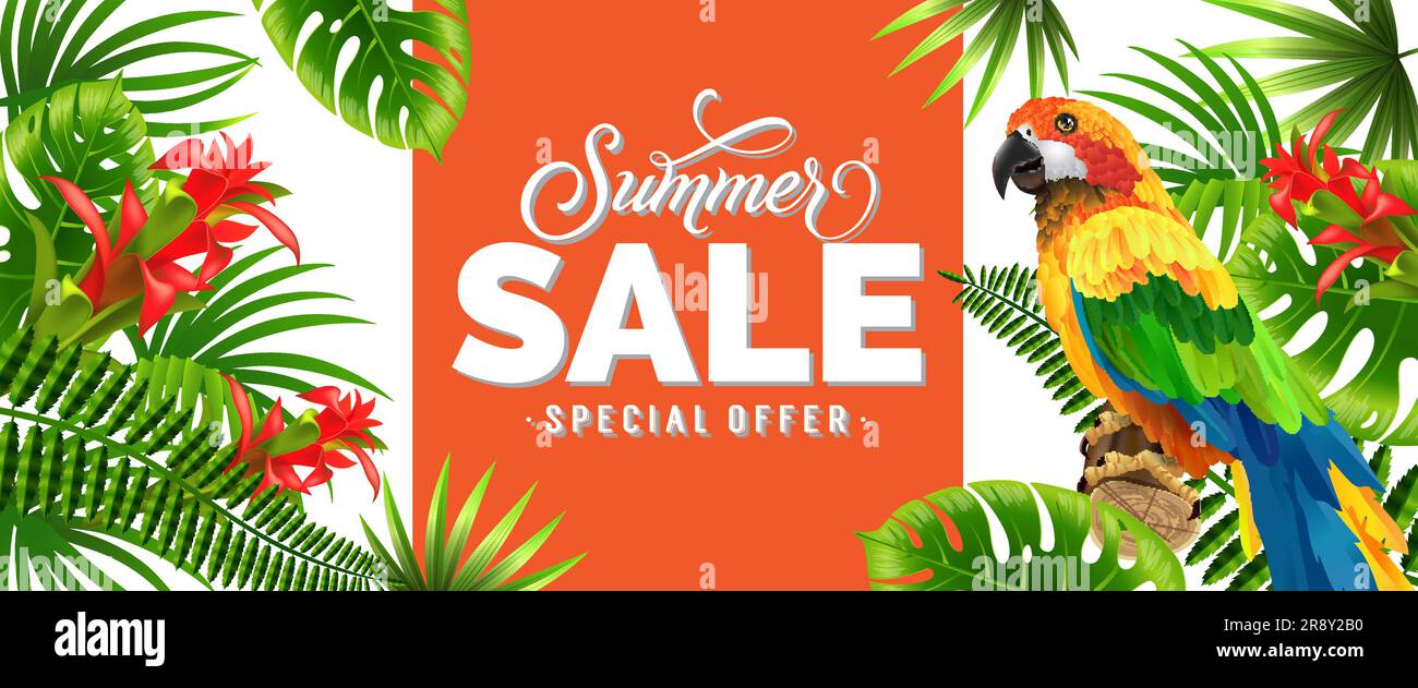 Summer sale, special offer orange banner design Stock Vector Image ...