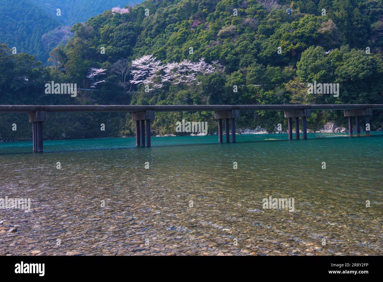 Katsuma hi-res stock photography and images - Alamy