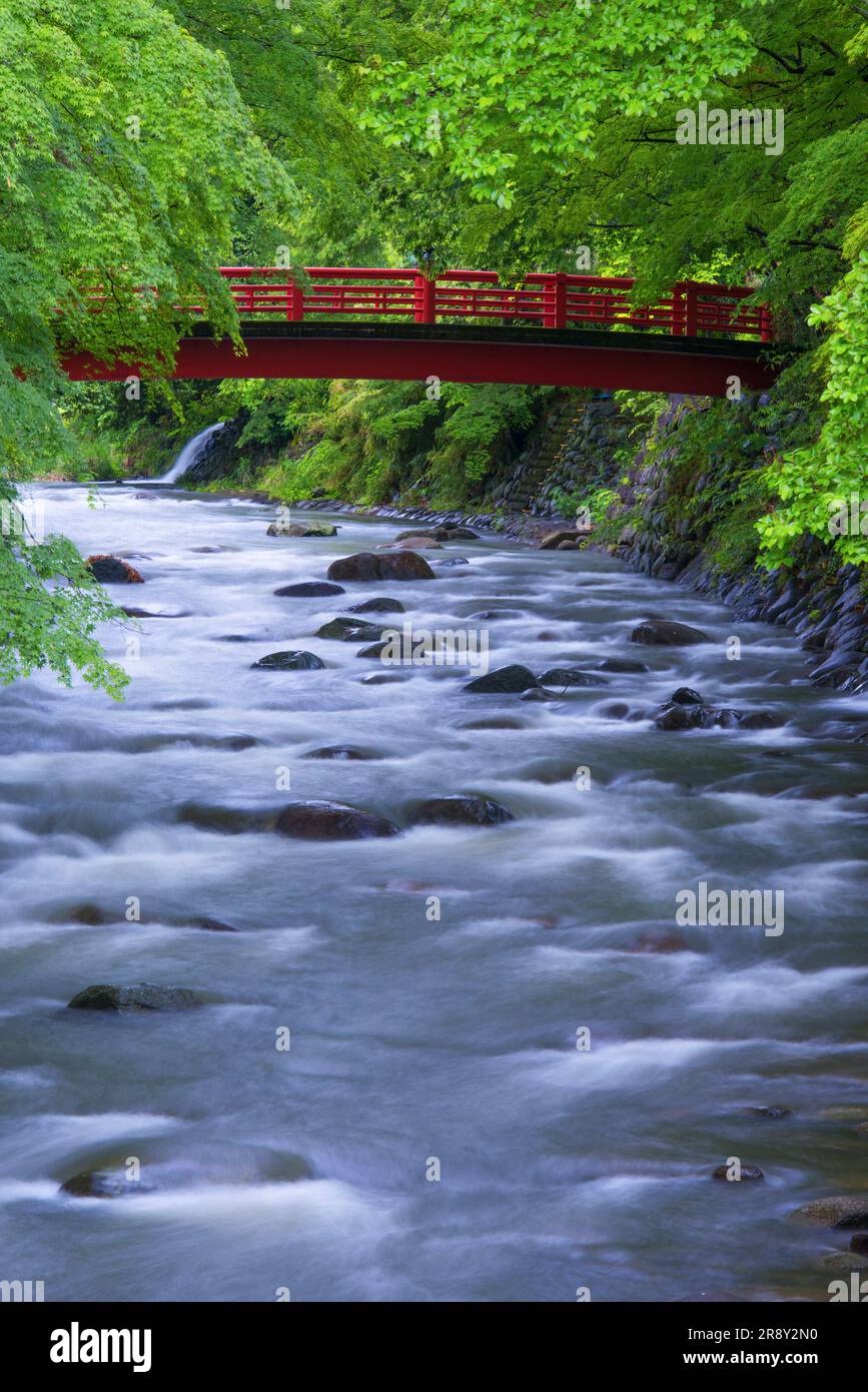 Shuzenji hot springs Stock Photo - Alamy
