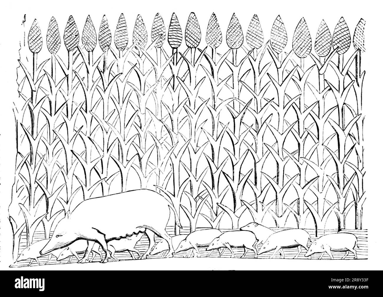 An assyrian gypsum relief Black and White Stock Photos & Images - Alamy