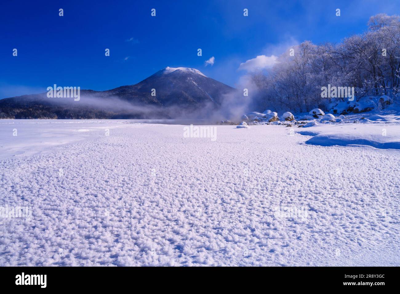 Frost flower and lake hi-res stock photography and images - Alamy
