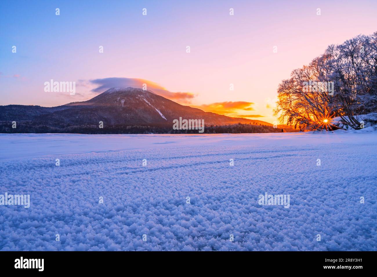 Frost flower and lake hi-res stock photography and images - Alamy