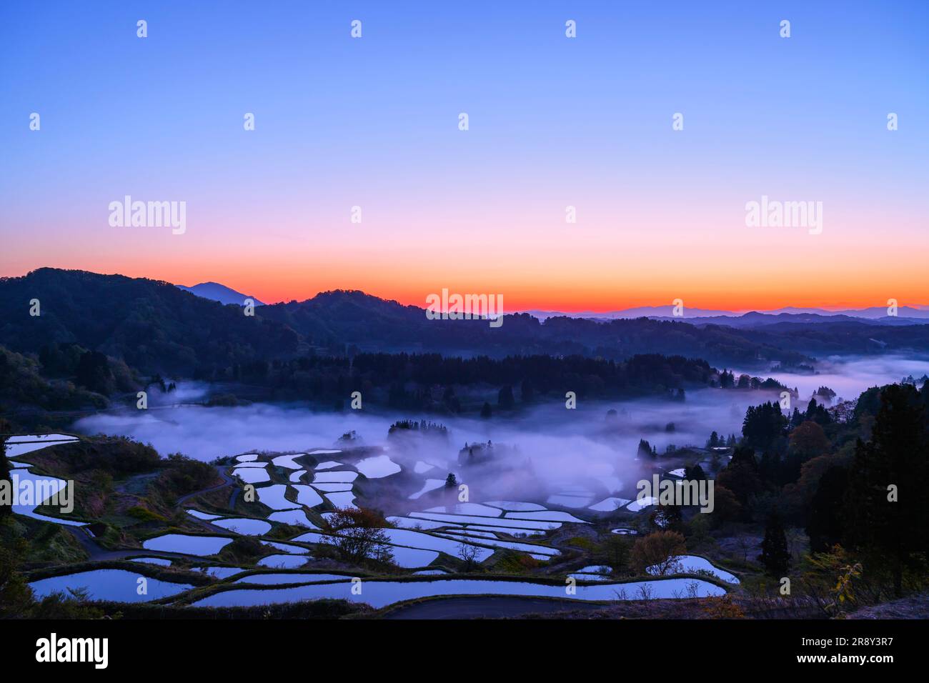 Rice terraces of Hoshitoge Stock Photo - Alamy