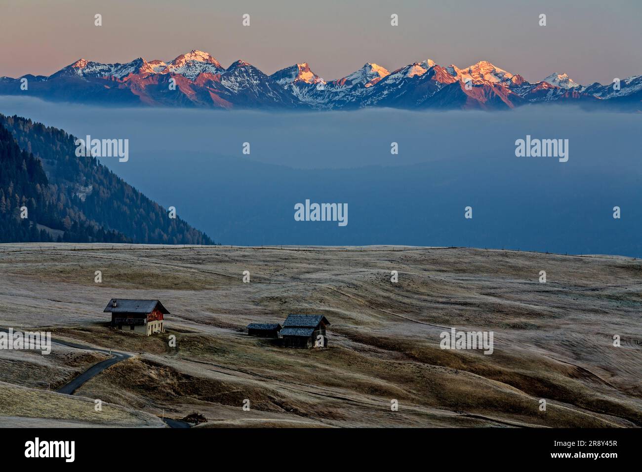 Mountain huts at sunrise, Seiser Alm, in background Zillertaler Alps ...