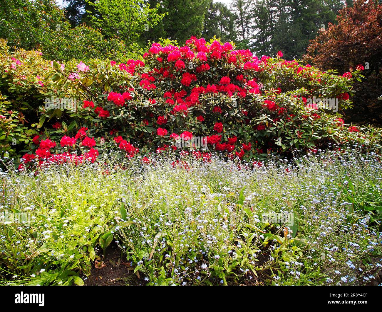 Jennie butchart hi-res stock photography and images - Alamy
