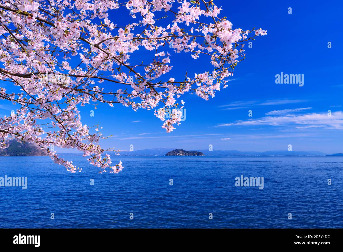 Osaki hi-res stock photography and images - Alamy