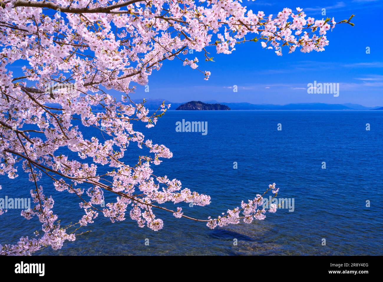 Kaizu hi-res stock photography and images - Alamy
