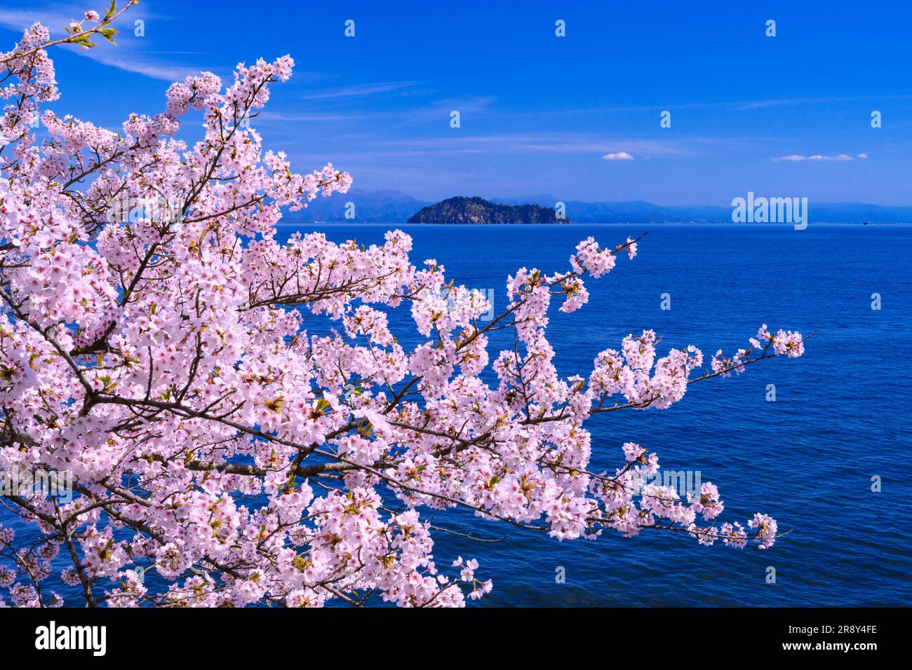 Kaizu hi-res stock photography and images - Alamy