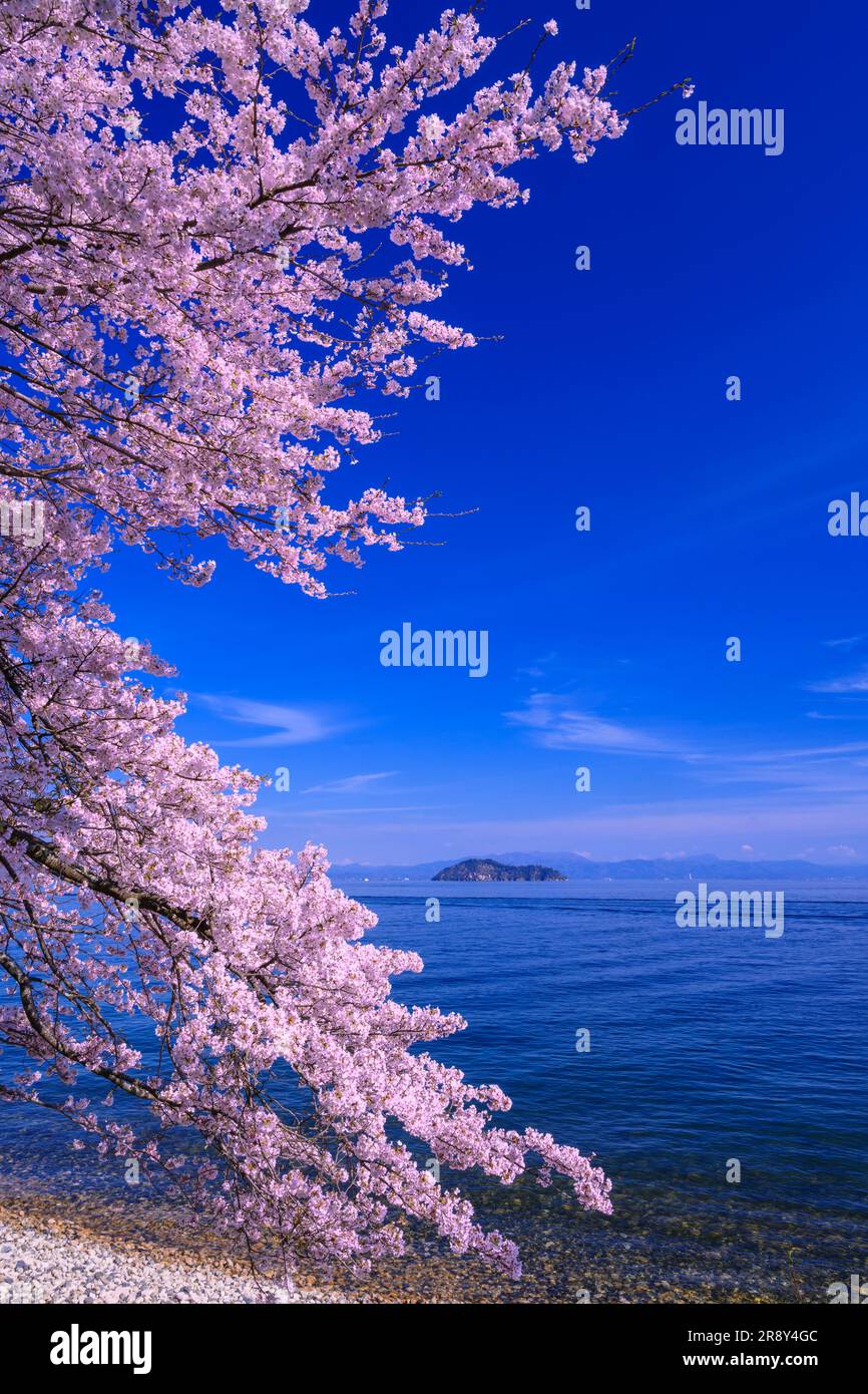 Osaki hi-res stock photography and images - Alamy