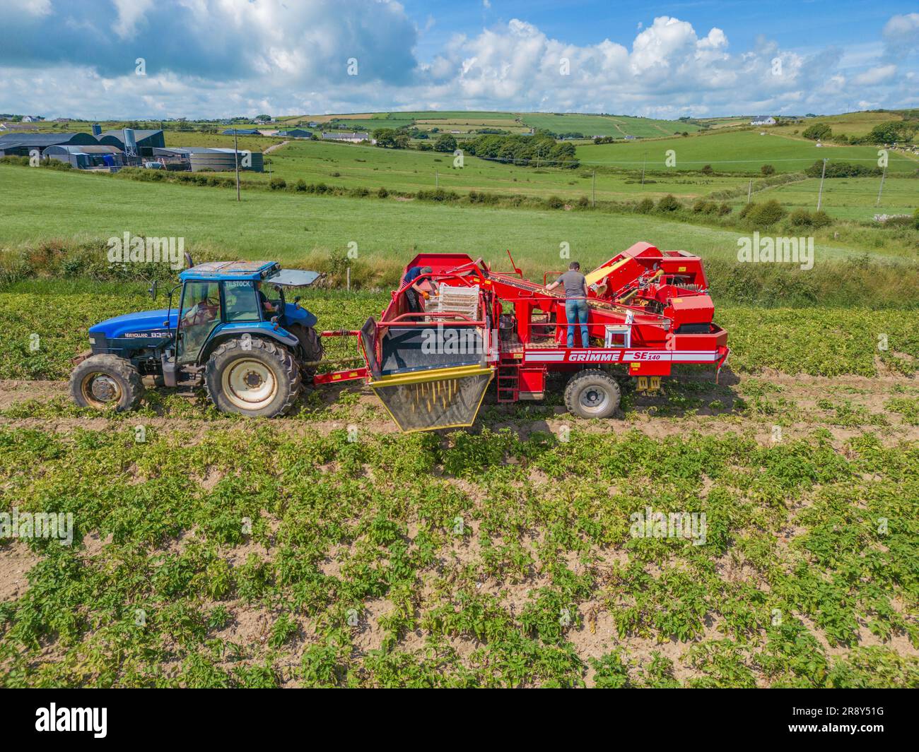 British queen potatoes hi-res stock photography and images - Alamy
