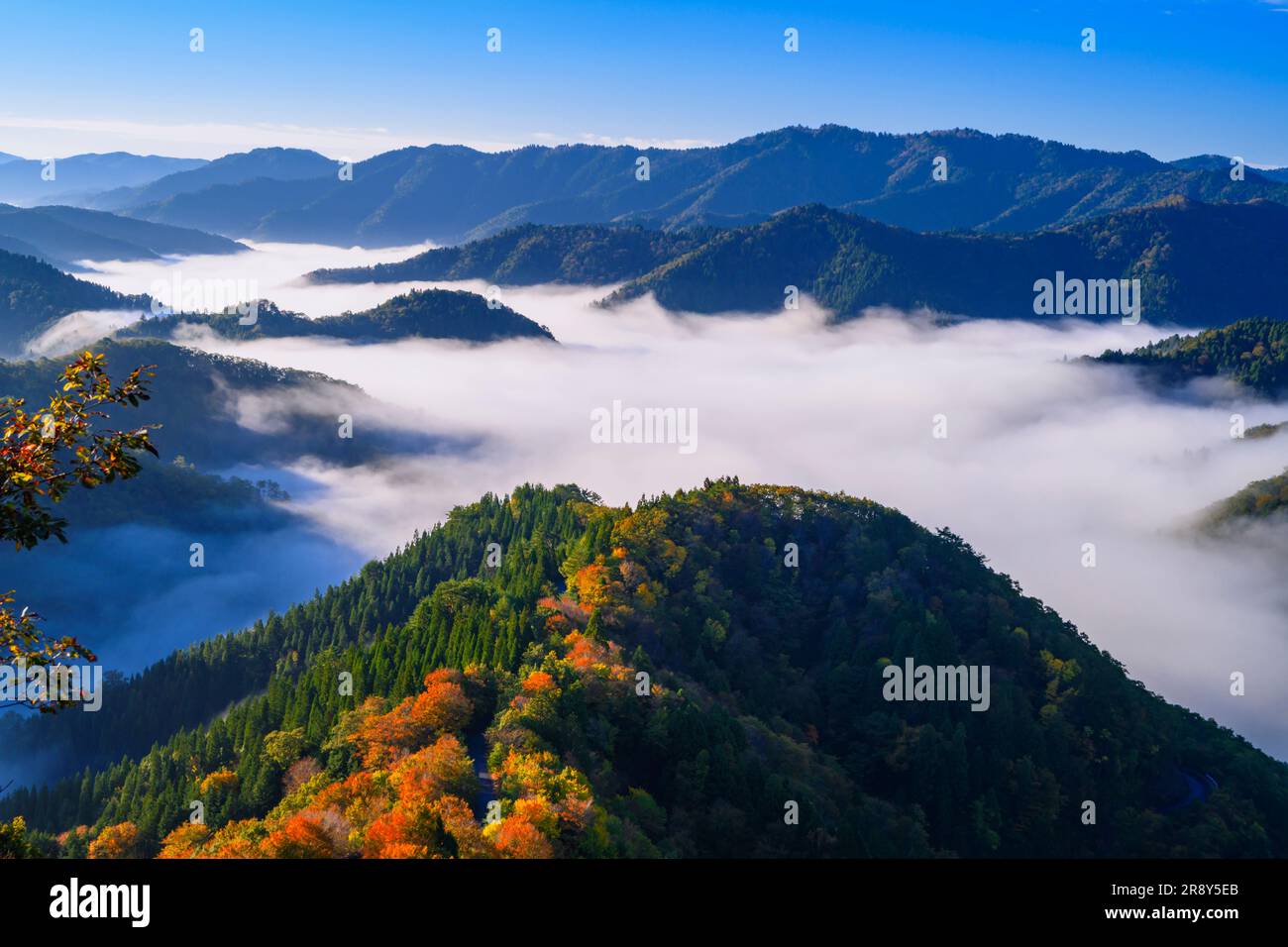 Sea of clouds at Onyu Pass Stock Photo - Alamy