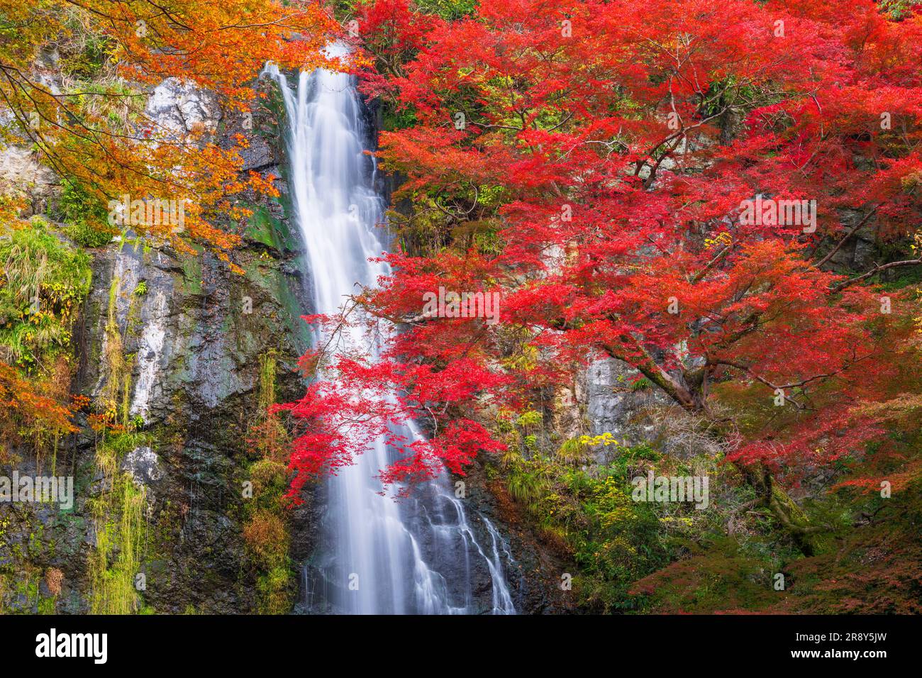 Minoo waterfalls hi-res stock photography and images - Alamy