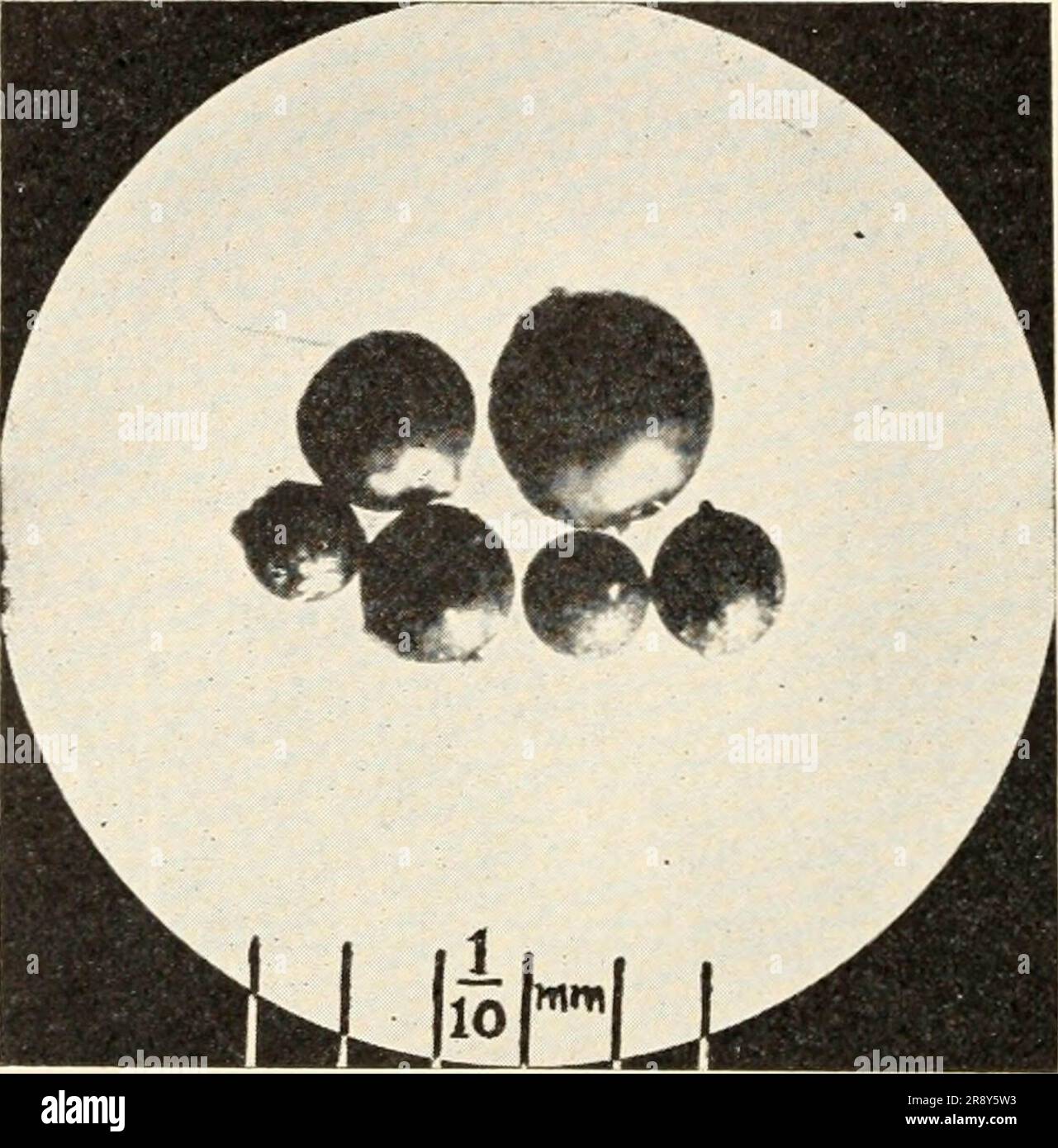 "Elementary chemical microscopy" (1921 Stock Photo - Alamy