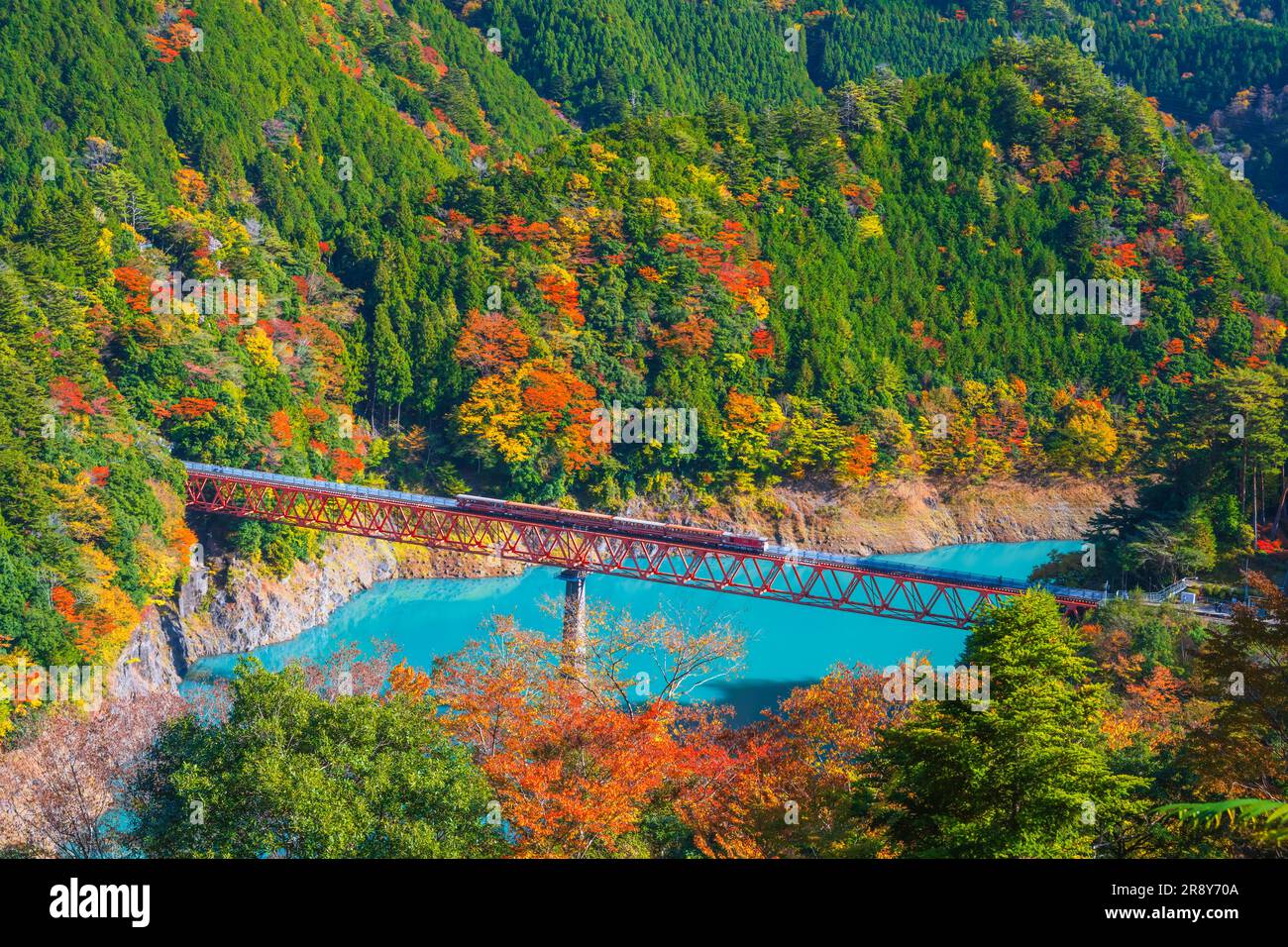 Oigawa Railway Igawa Line in Autumn Stock Photo - Alamy
