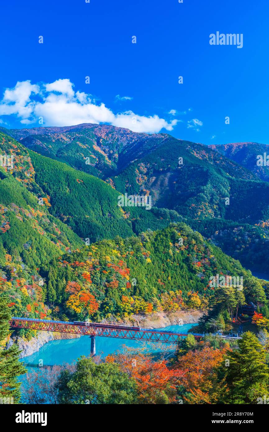 Oigawa railway hi-res stock photography and images - Alamy