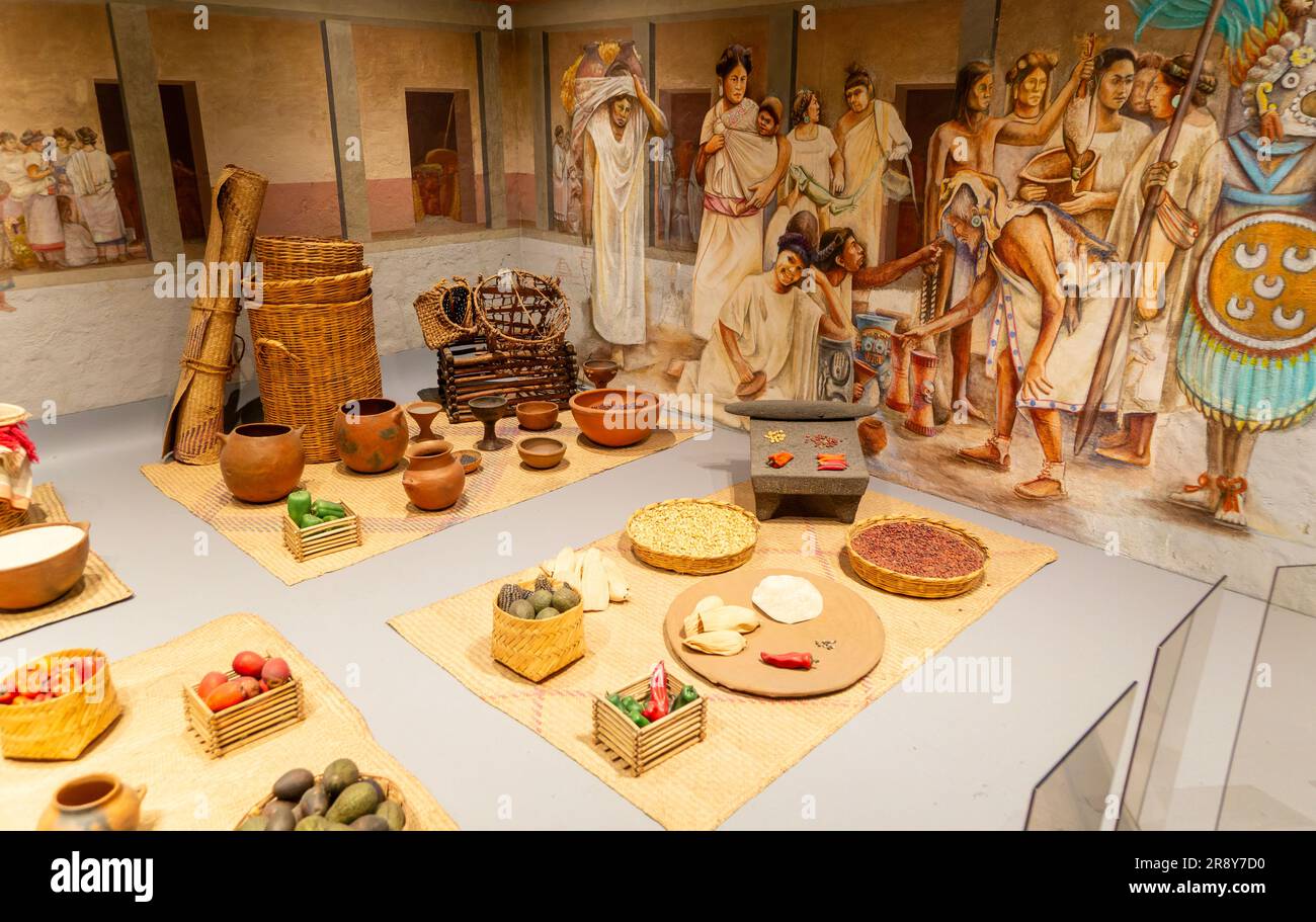 Display of Aztec foods and market, archaeological site and museum of ...
