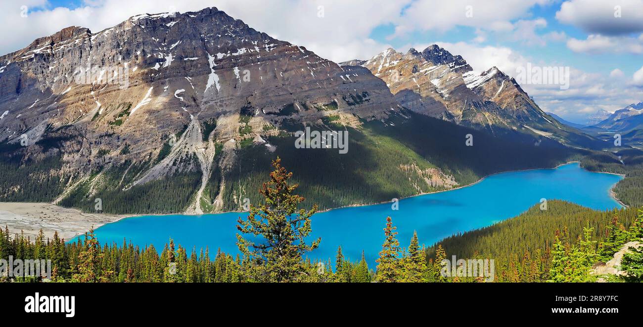 Panorama of Peyto Lake from vantage point in Banff National Park ...