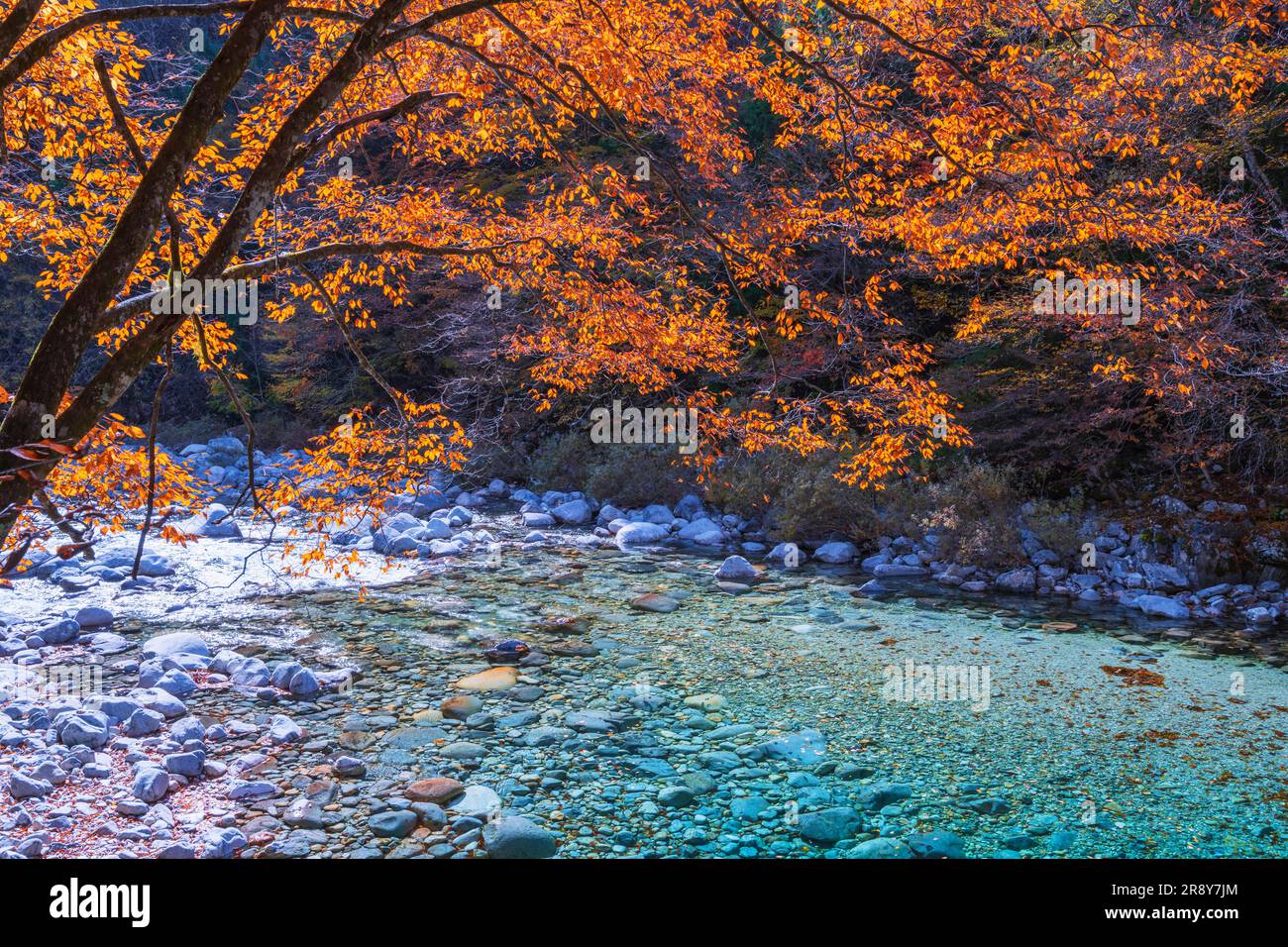 Aterakeikoku Ravine in fall Stock Photo - Alamy
