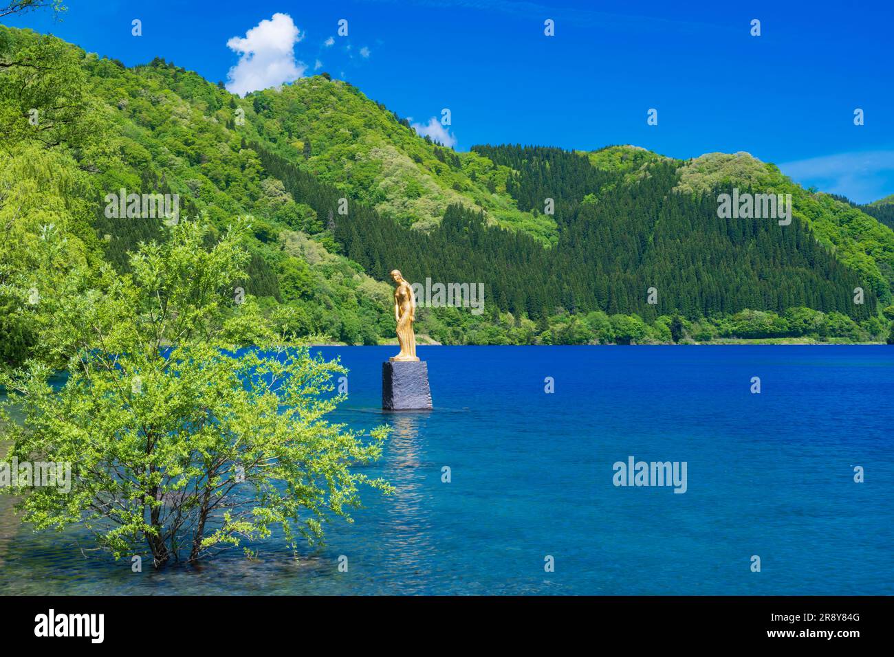 Tatsuko image hi-res stock photography and images - Alamy