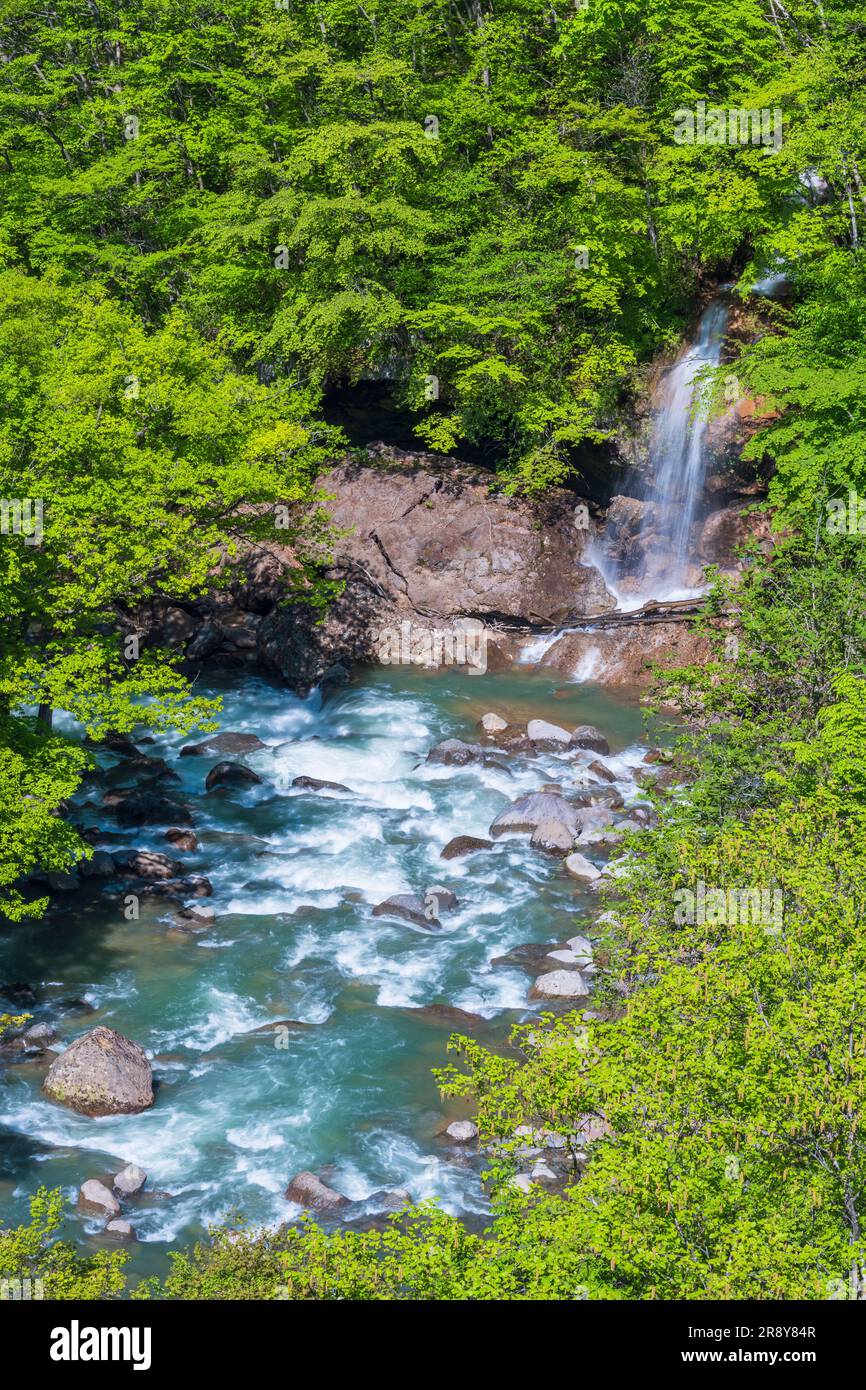 Matsukawa hi-res stock photography and images - Alamy