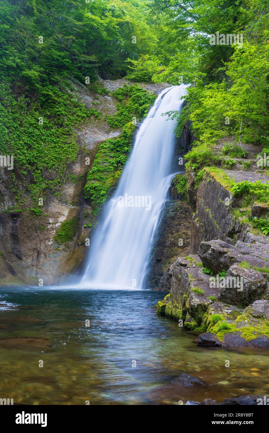 Akiu miyagi hi-res stock photography and images - Alamy