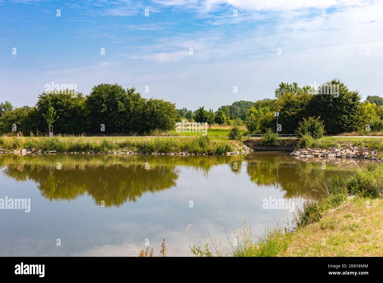 Biotope wood hi-res stock photography and images - Alamy