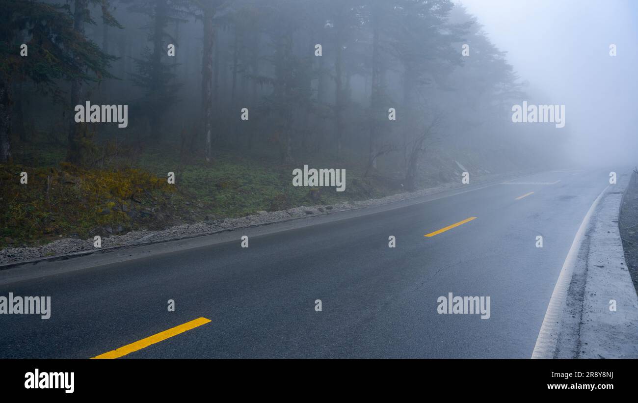 A landscape of a road in a forest covered in fog Stock Photo - Alamy