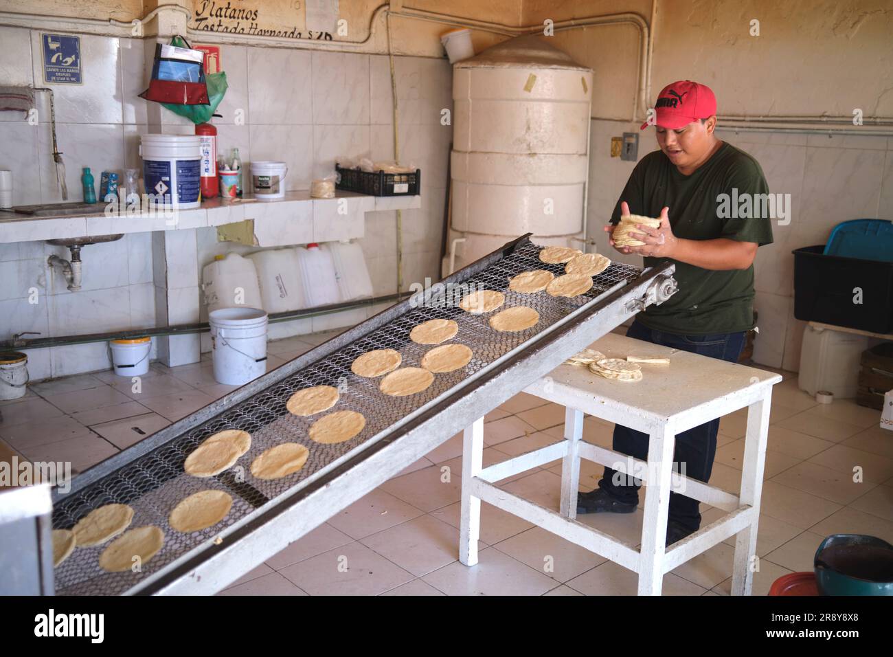 Tortilla bakery mexico hi-res stock photography and images - Alamy