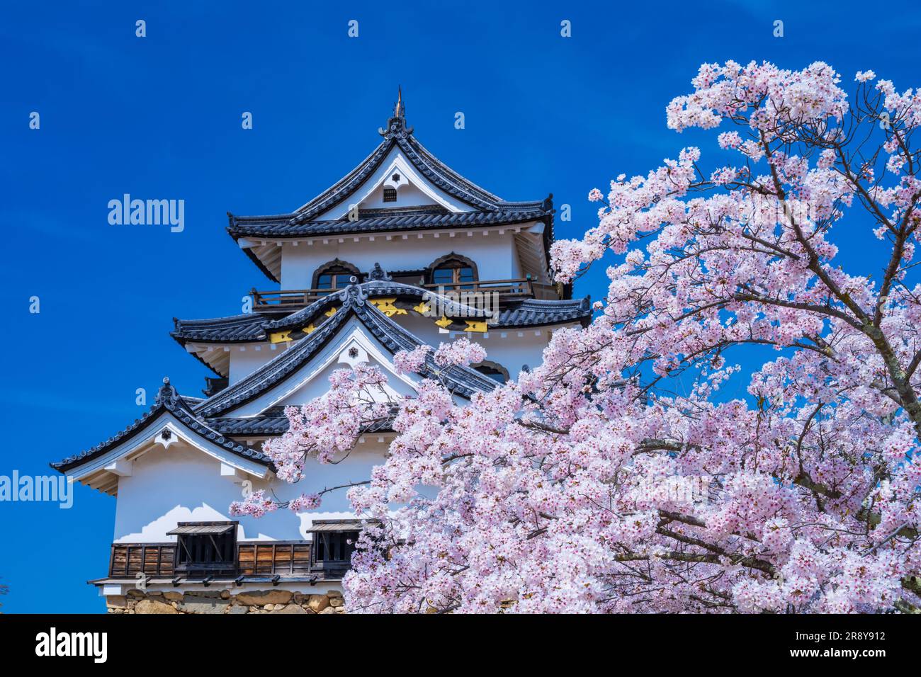 Hikonejo hi-res stock photography and images - Alamy