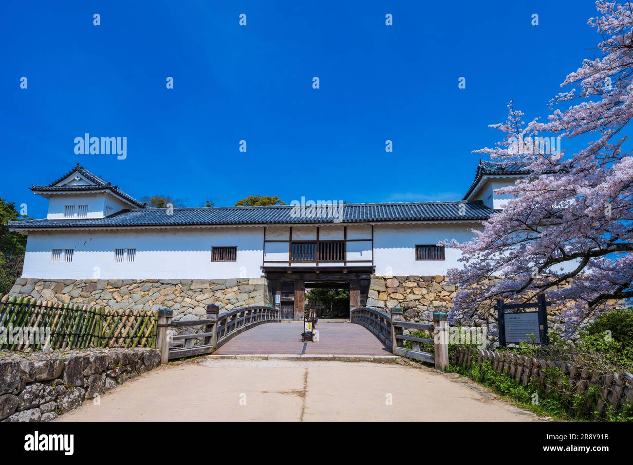 Hikonejo hi-res stock photography and images - Alamy