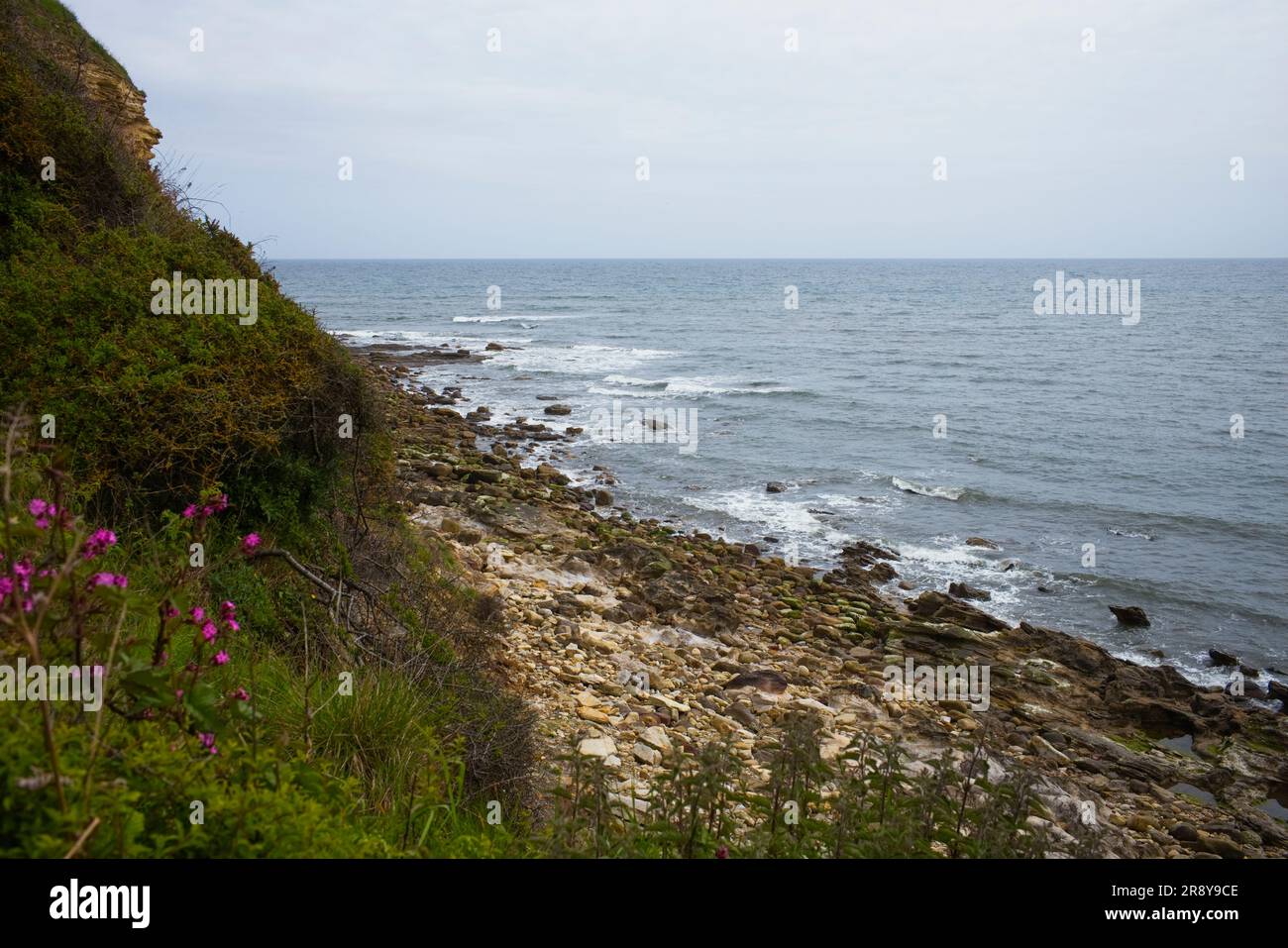 Crook Ness bay just north of Scarborough on the east coast of Britain ...