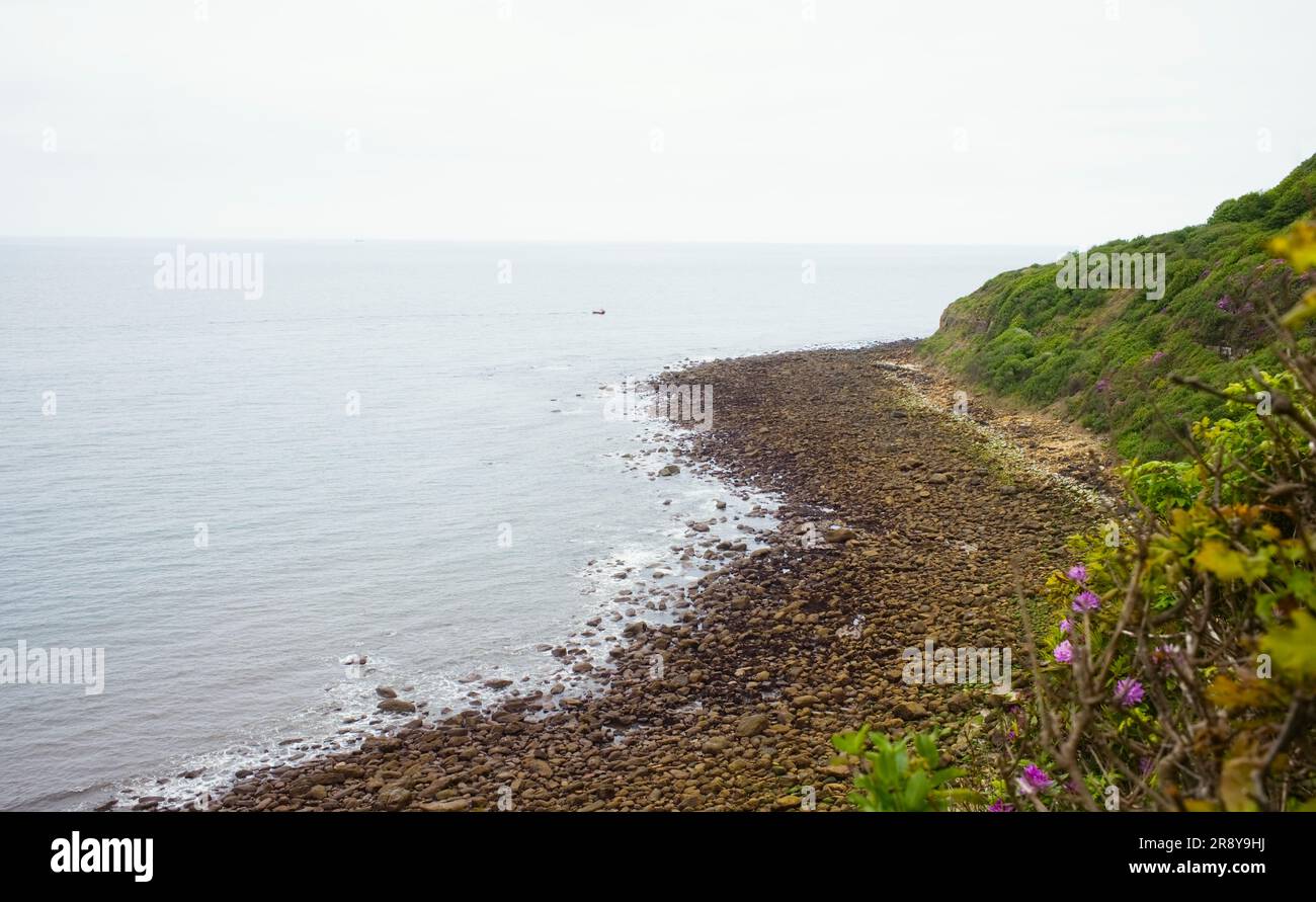 Hayburn wyke beach hi-res stock photography and images - Alamy