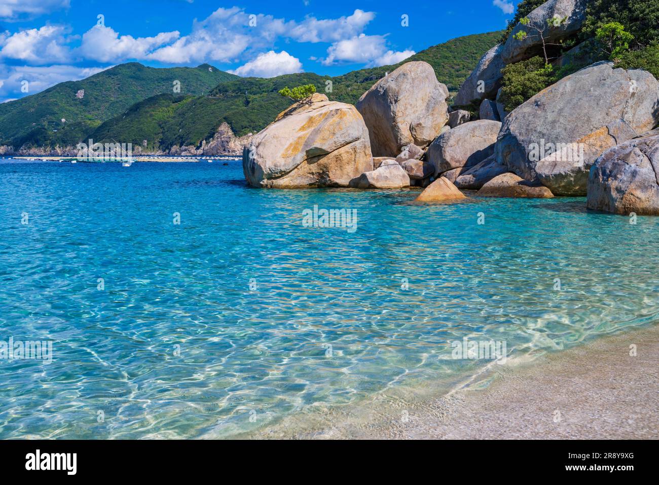 Kashiwajima hi-res stock photography and images - Alamy