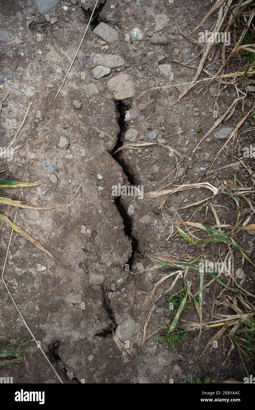 Cracked earth patch in wheat field due to long drought. Top view, no ...
