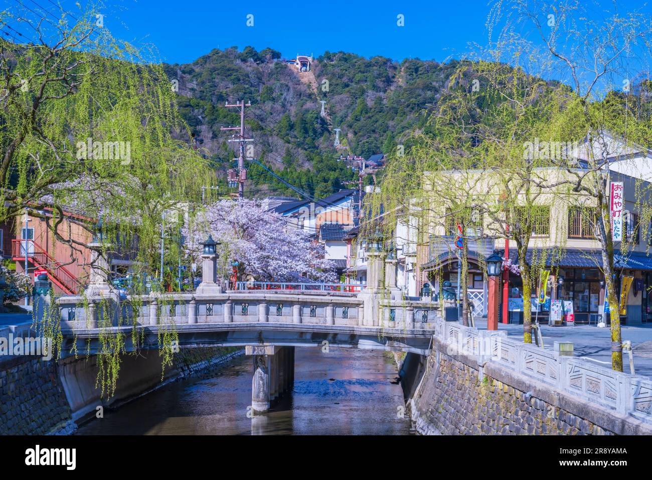 Kinosaki Hot Spring and Cherry blossoms Stock Photo - Alamy