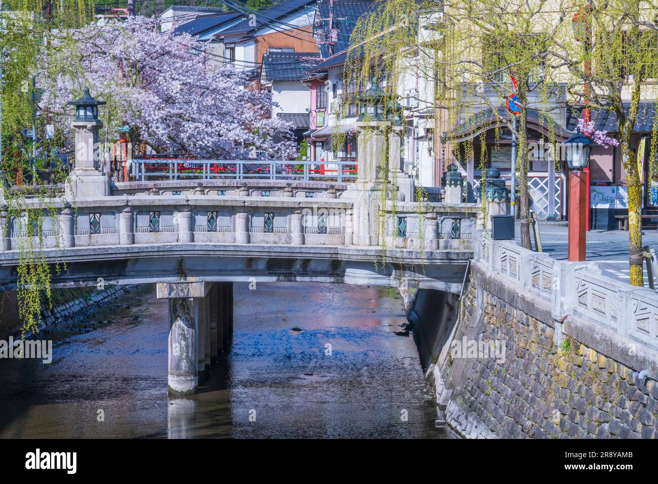 Kinosaki Hot Spring and Cherry blossoms Stock Photo - Alamy