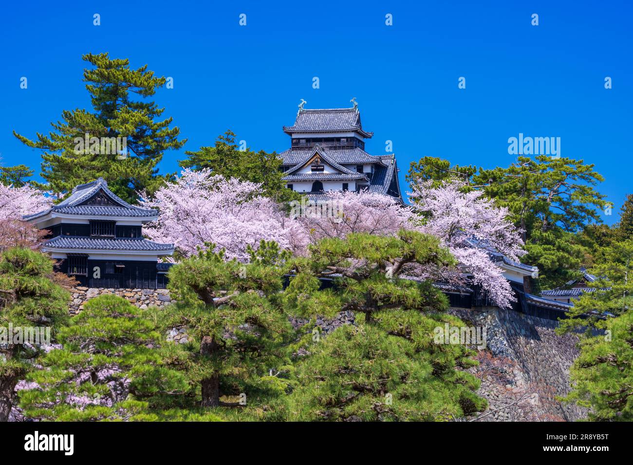 Japan matsue castle hi-res stock photography and images - Alamy