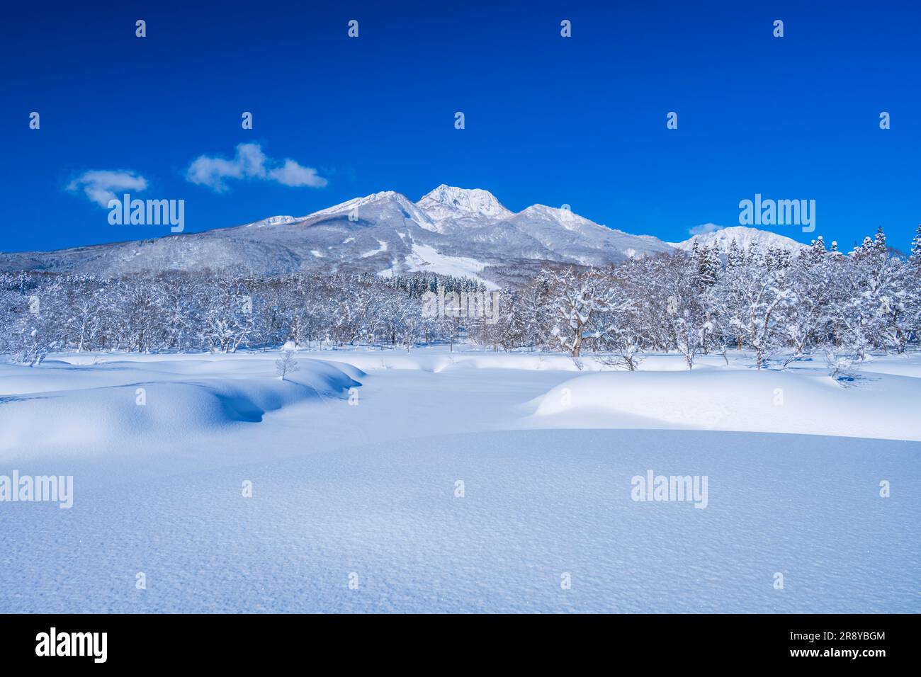 Japanese winter pond hi-res stock photography and images - Alamy
