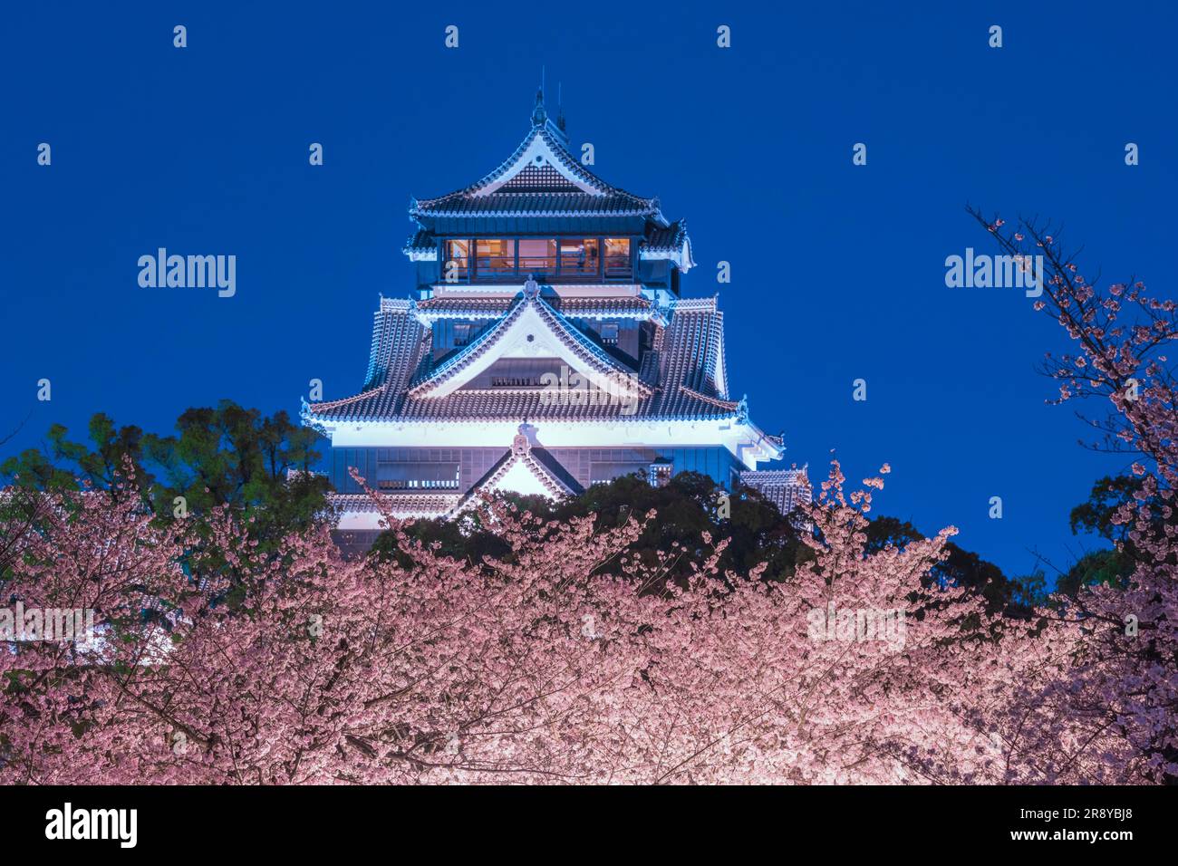 Kumamoto Castle and cherry blossoms Stock Photo - Alamy