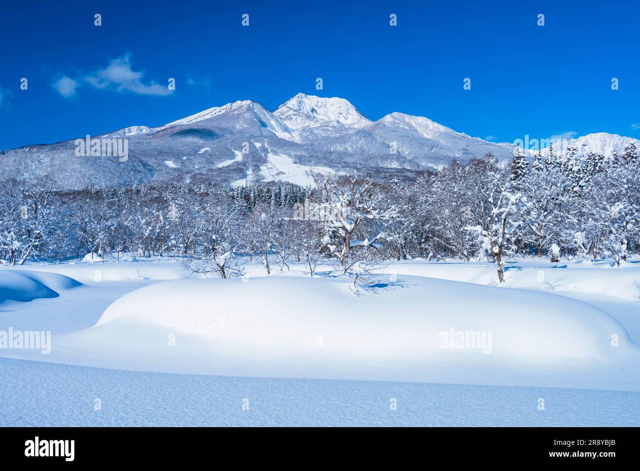 Imori Pond and Mt. Myoko in winter Stock Photo - Alamy