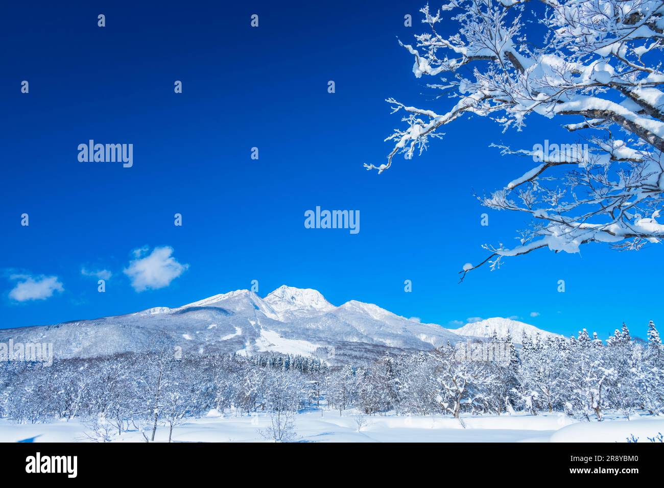 Imori Pond and Mt. Myoko in winter Stock Photo - Alamy
